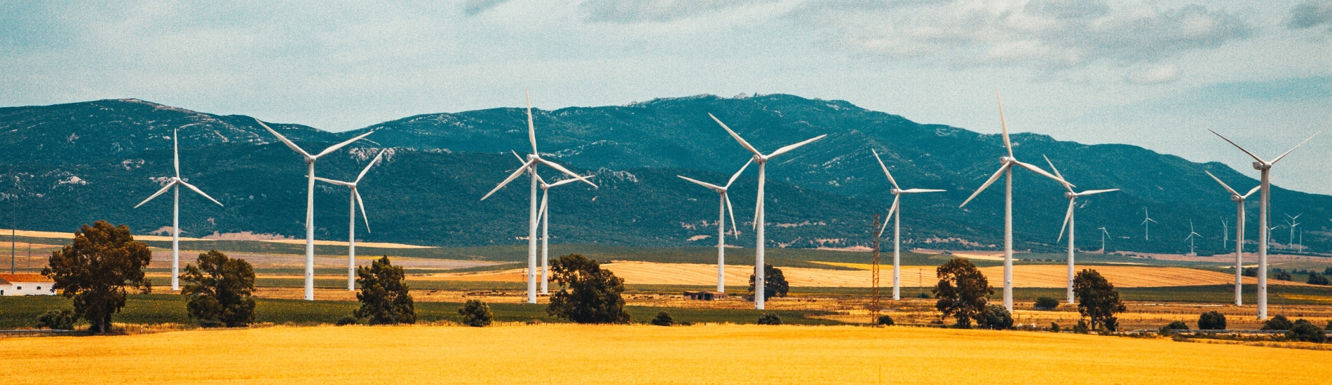 3 Alternative Energy Sources to Get You Ready for a Blackout