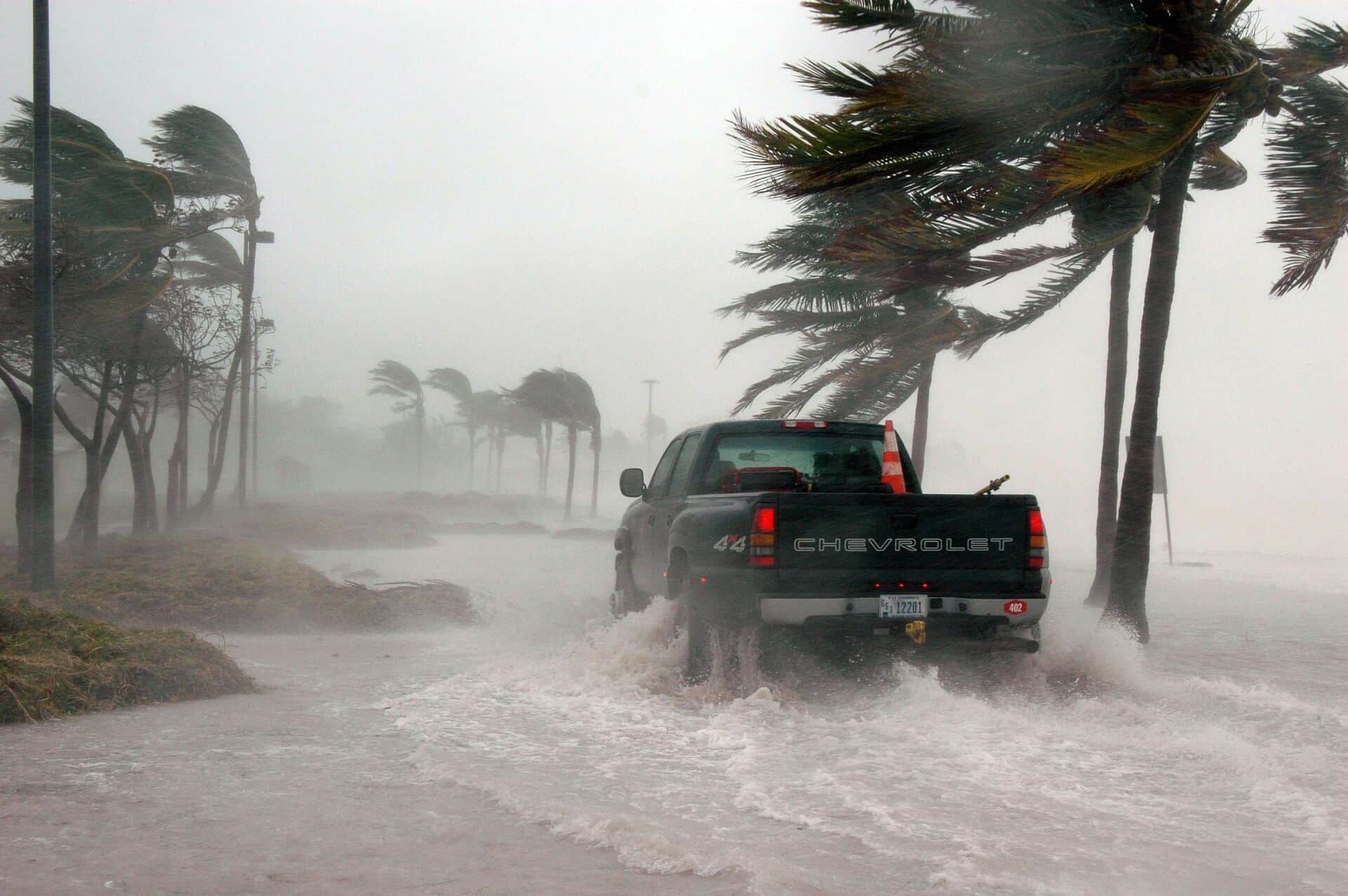 How to Survive a Hurricane and Live to Tell the Tale