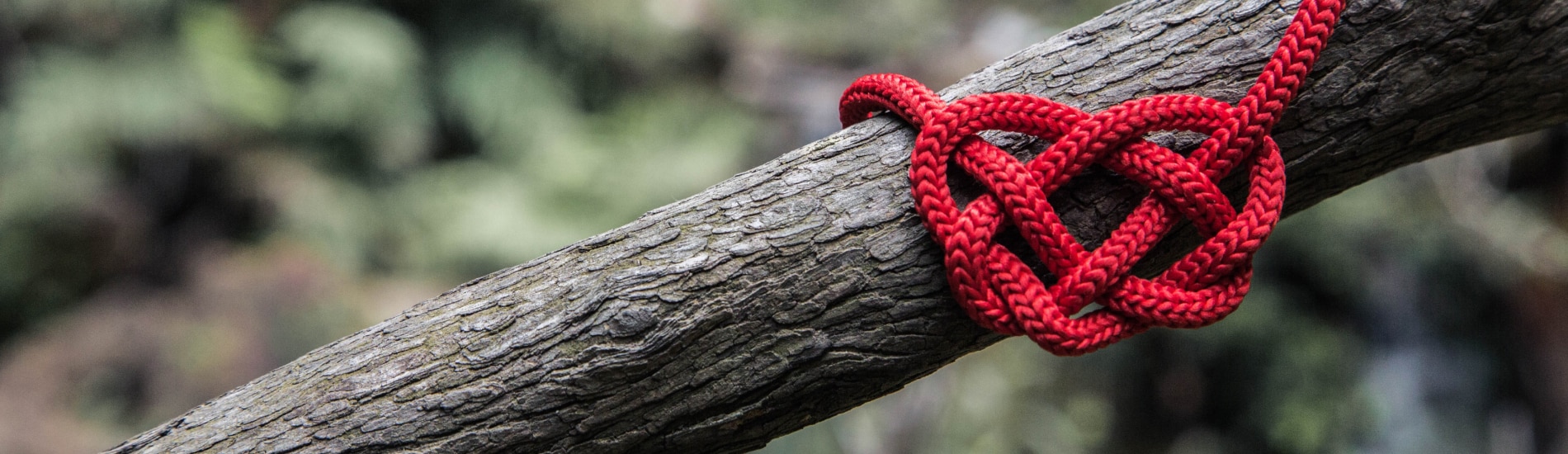 8 Survival Knots to Stake Your Life On