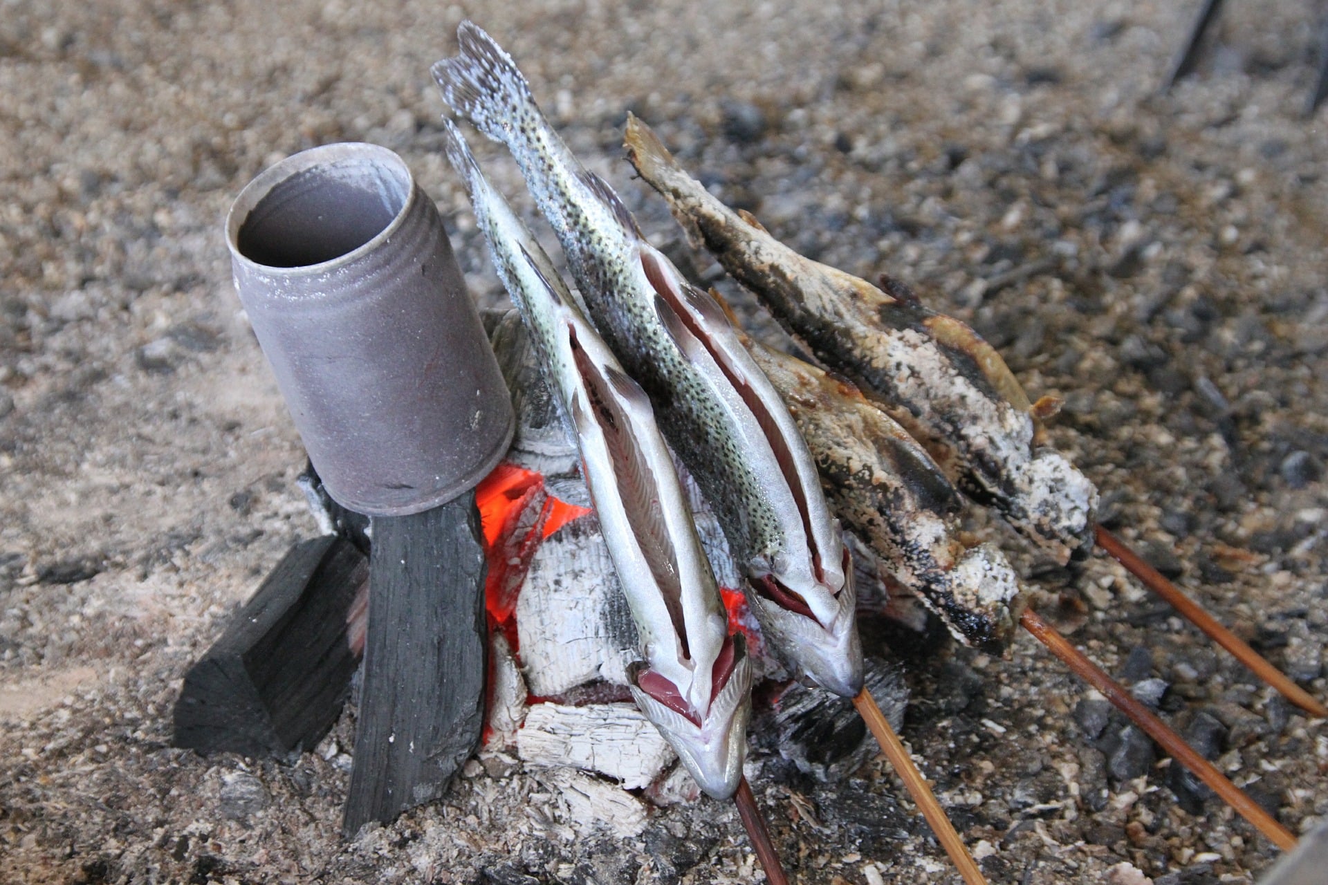 9 Primitive Cooking Methods Every Prepper Should Know - Tactical Blog ...